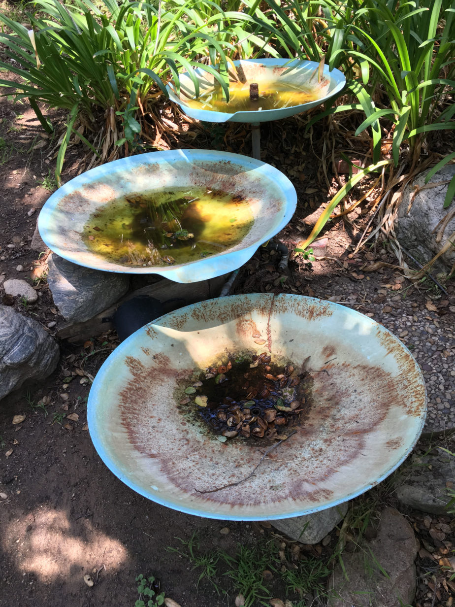 Visit to Lautner’s J.W. Schaffer House