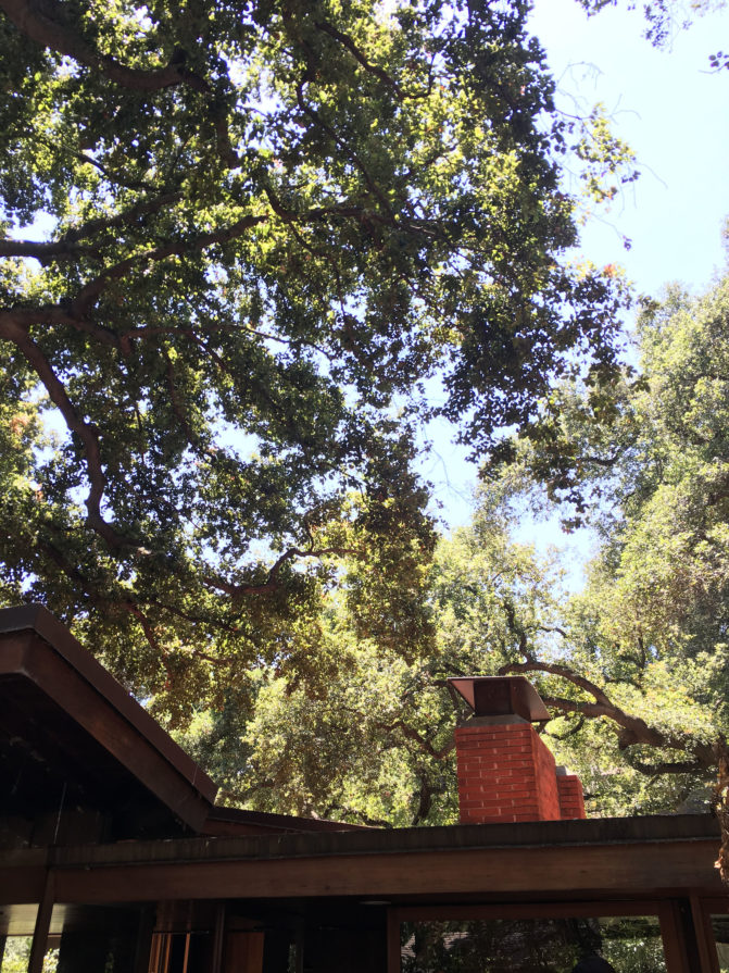 Visit to Lautner’s J.W. Schaffer House